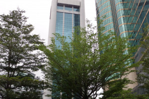 Menara Safuan (KL City) Office For Rent for Rental @RM5 By BENSON TING ...